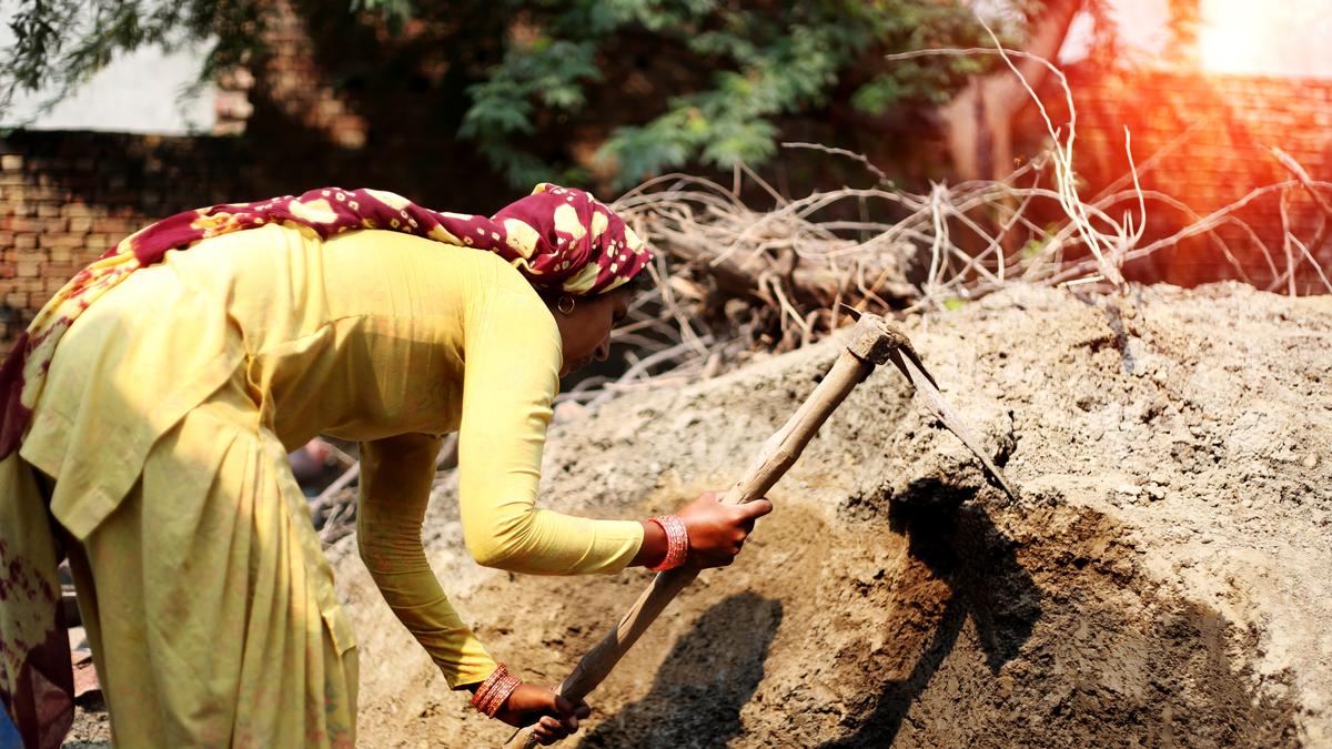 Economic Survey 2025-26: Labour Codes Key to Formal Jobs Growth - India ...